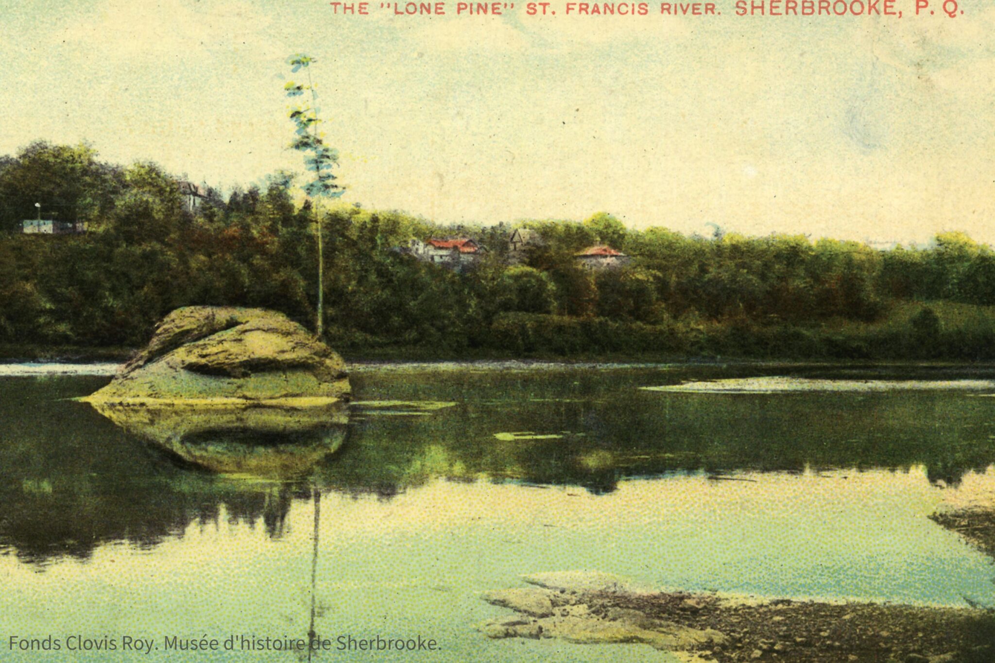 La légende du pin solitaire et le Mena'Sen - Mhist