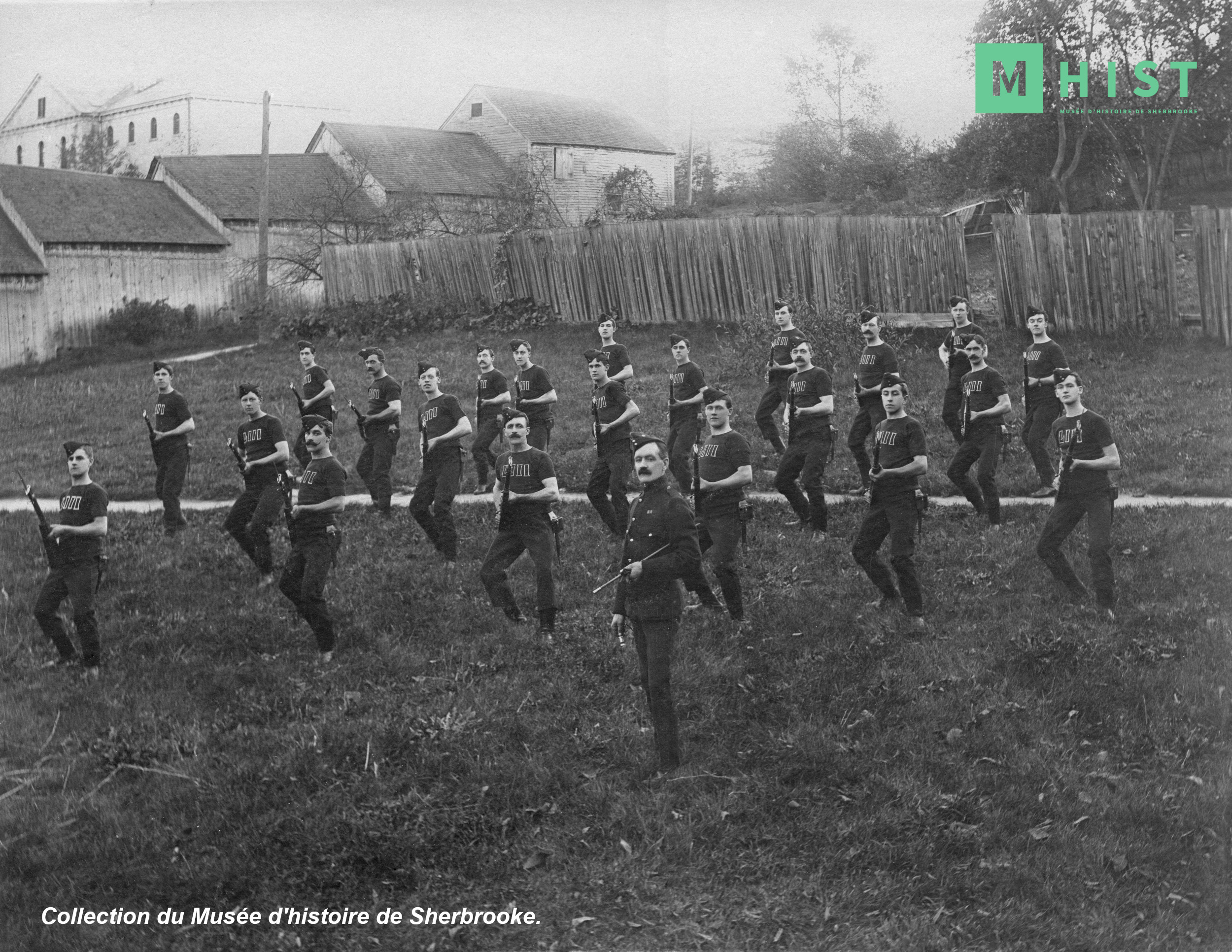 À la une : ennuis du dimanche, rongeur pyromane et chou d'épousailles ...