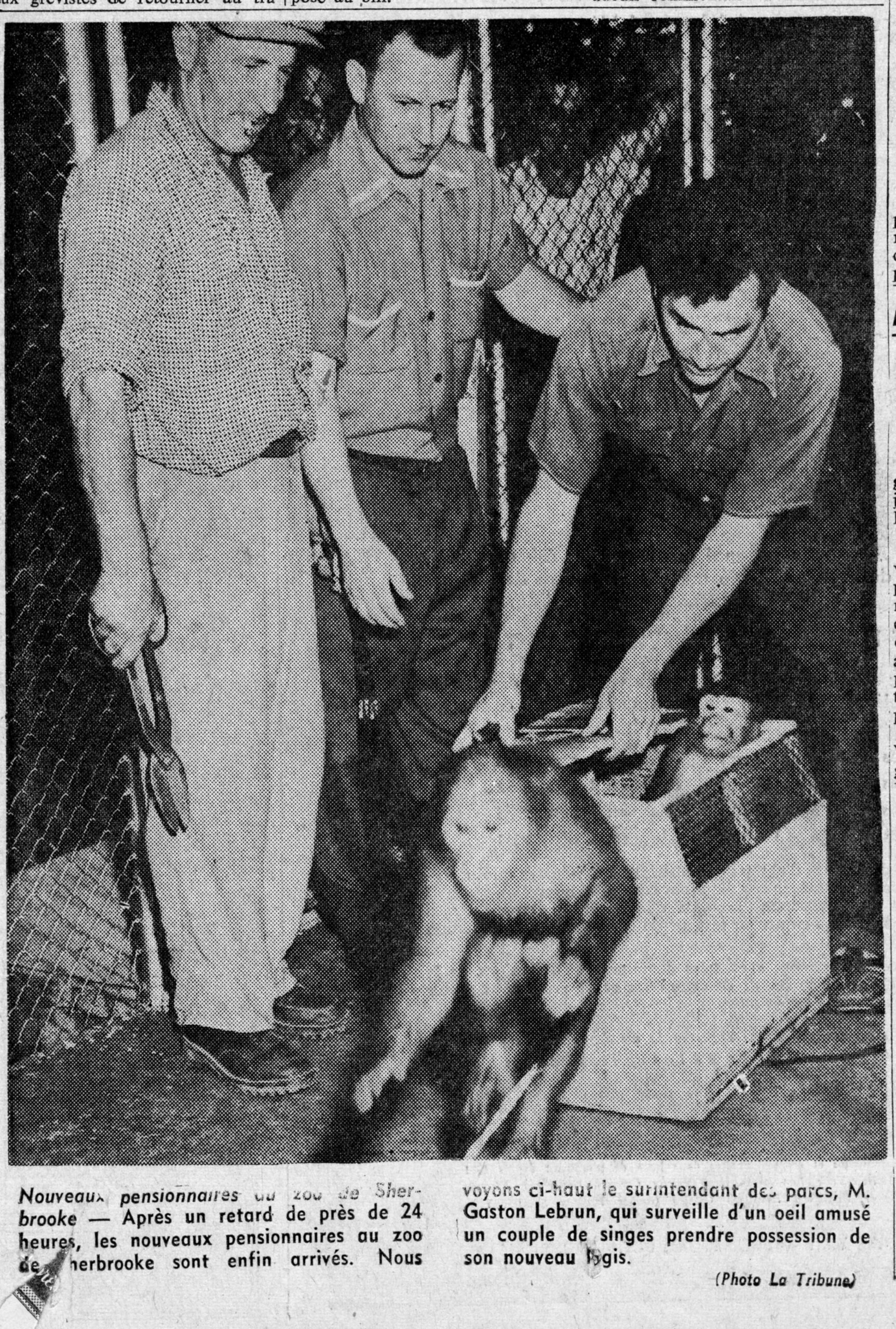 Un zoo au parc Victoria - Mhist